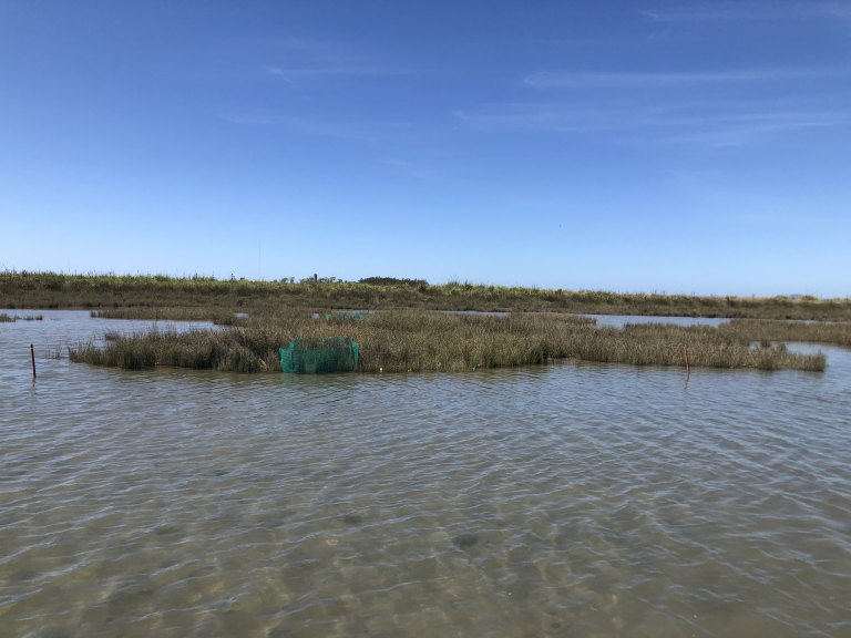 FILTERS – Ecology Lab